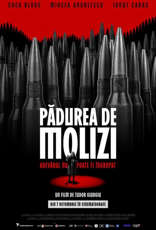 Program Filme Azi la Cinema City Constanta VIVO!