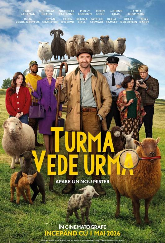 Program Filme Azi
