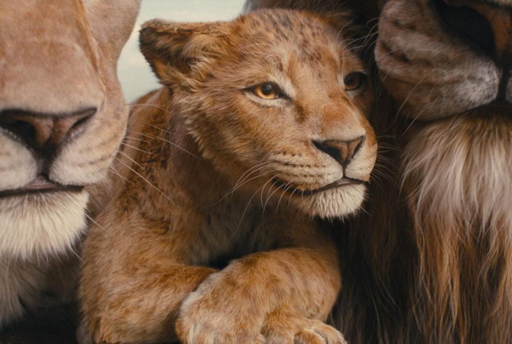„Mufasa: The Lion King” - Cum a devenit leul rege și...